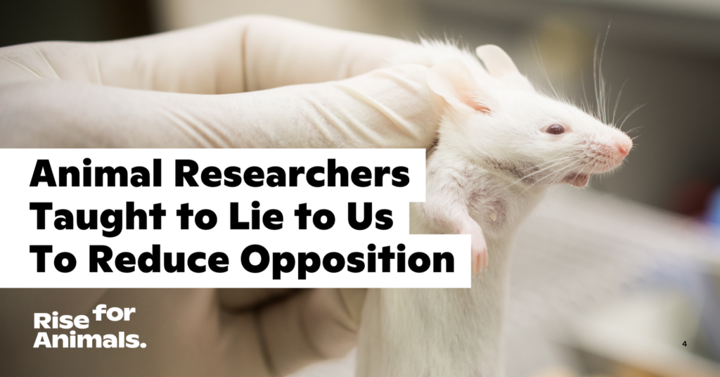 Animal Researchers Taught to Lie to Us to Reduce Opposition – Rise for ...