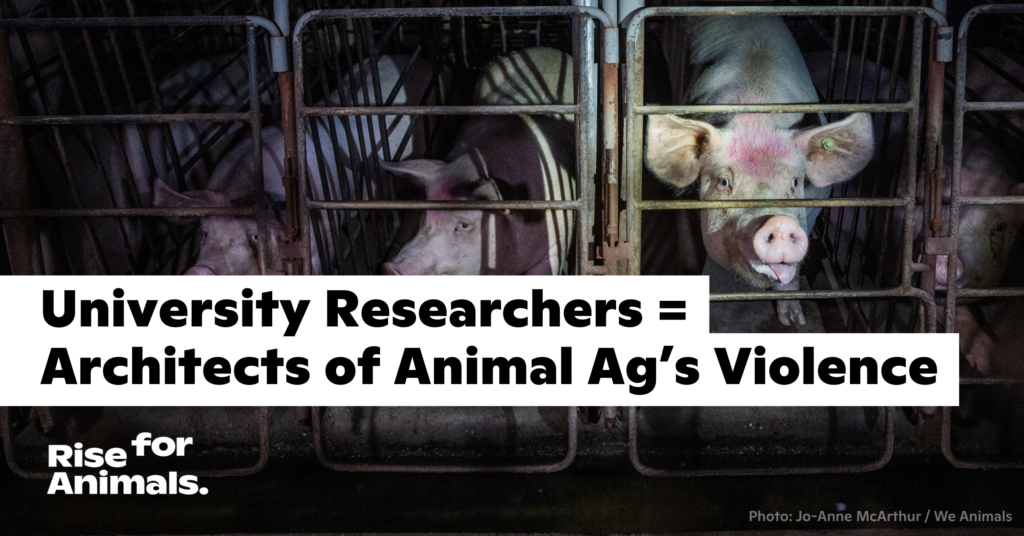 University Researchers = Architects of Animal Ag’s Violence – Rise for ...