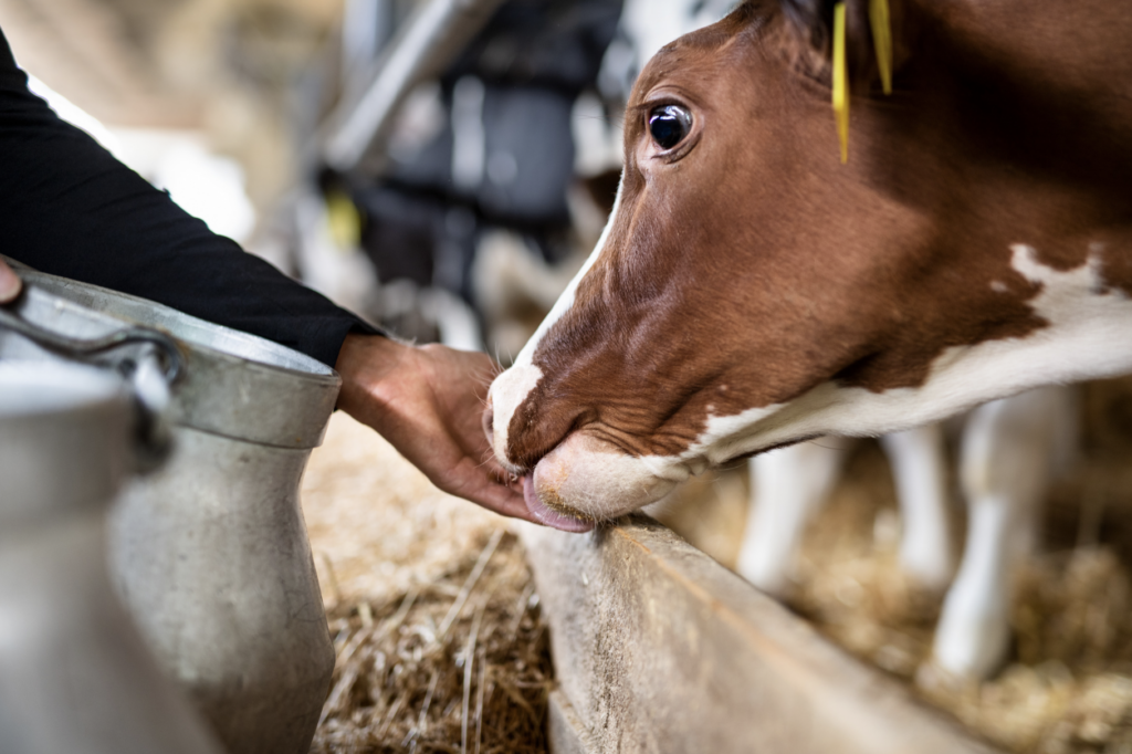 Defend Democracy and Animals: Speak Out Against S.1326 – Rise for Animals