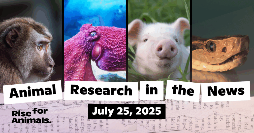 Animal Research News Roundup: July 25, 2025 – Rise for Animals