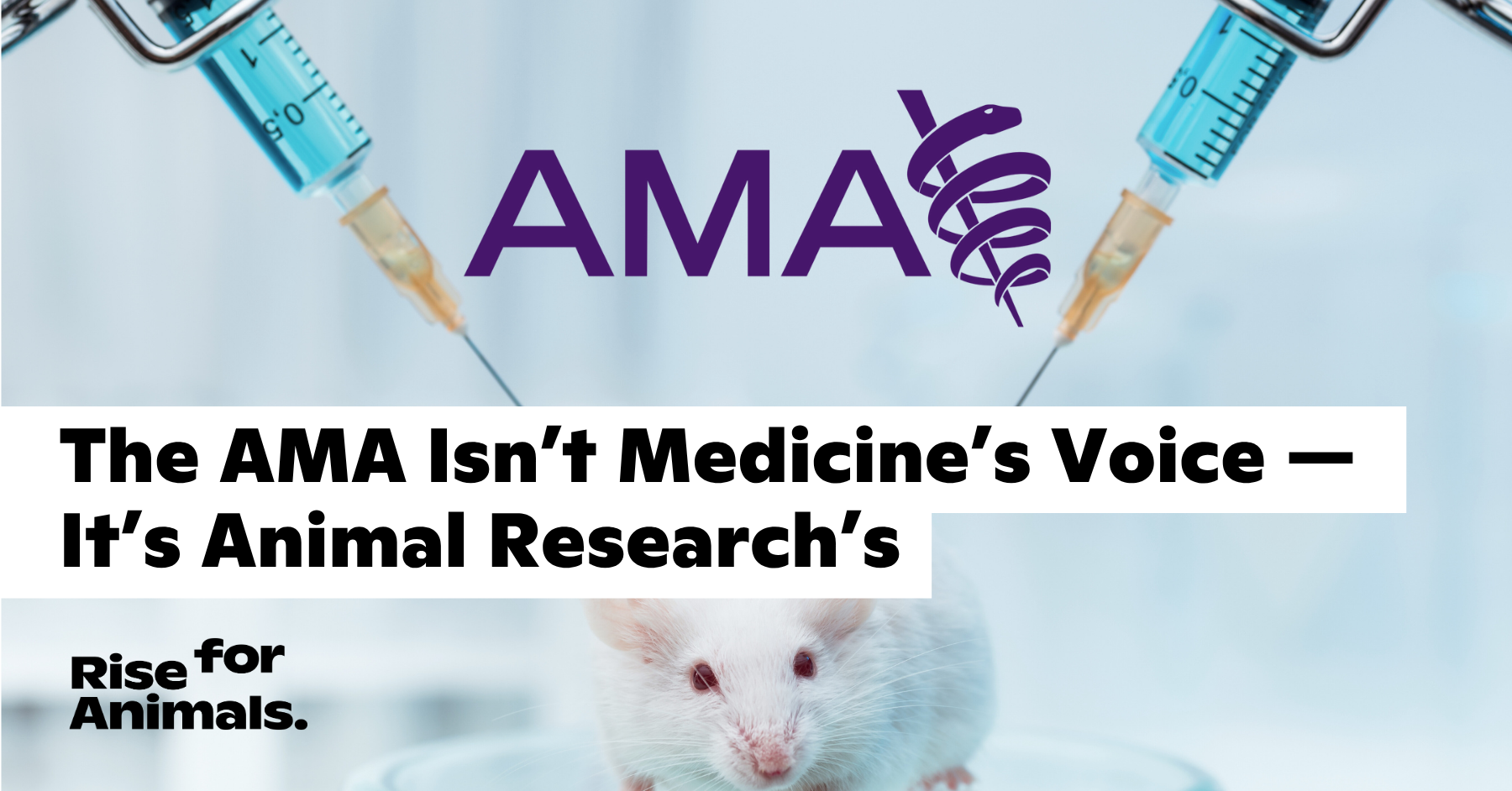 The AMA Isn’t Medicine’s Voice — It’s Animal Research’s – Rise for Animals