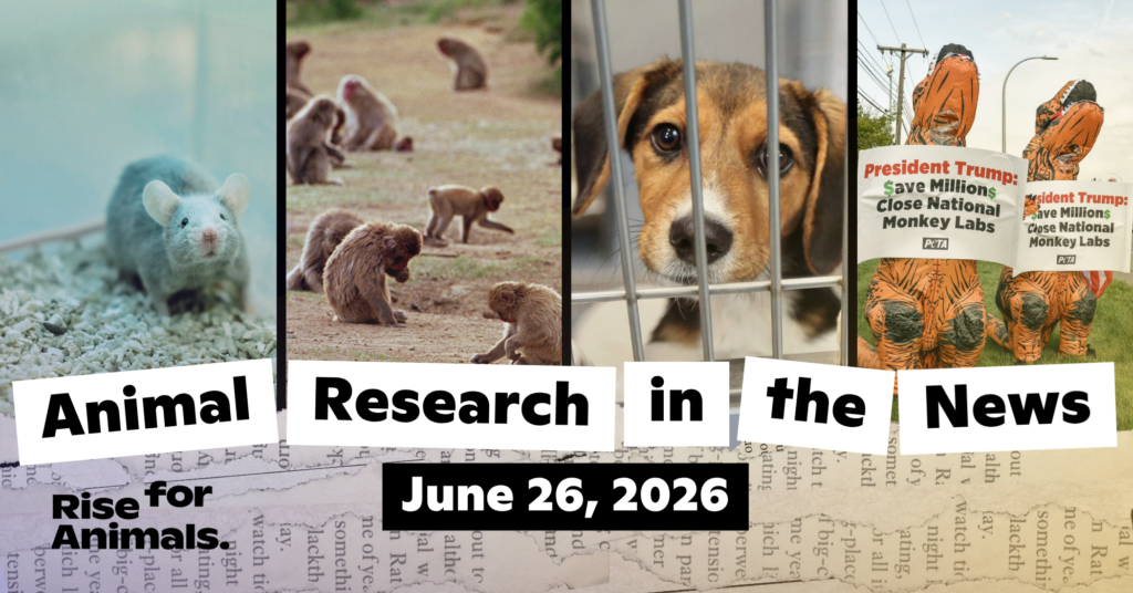 Animal Research News Roundup: June 26, 2026 – Rise for Animals
